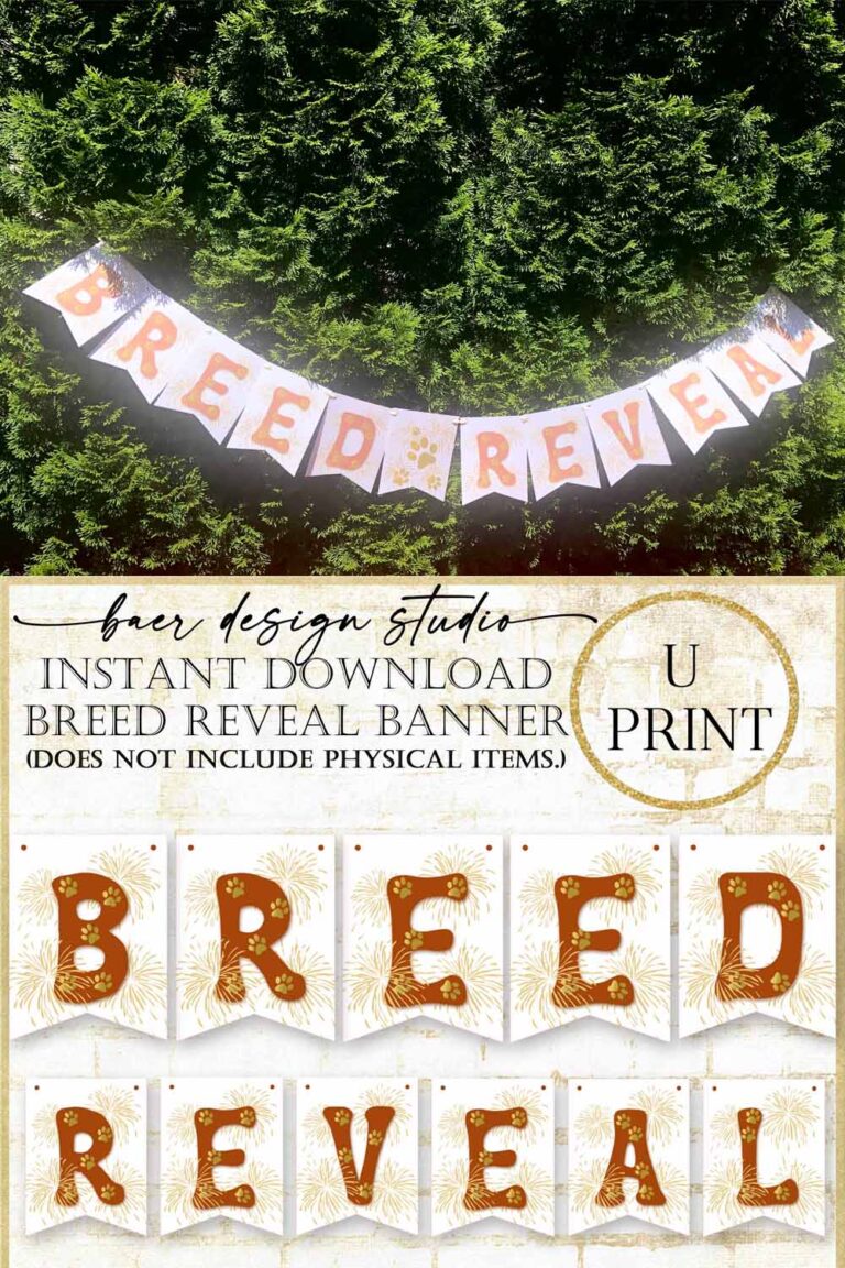 An Amazing Dog Breed Reveal Party in 5 Easy Steps - Baer Design Studio